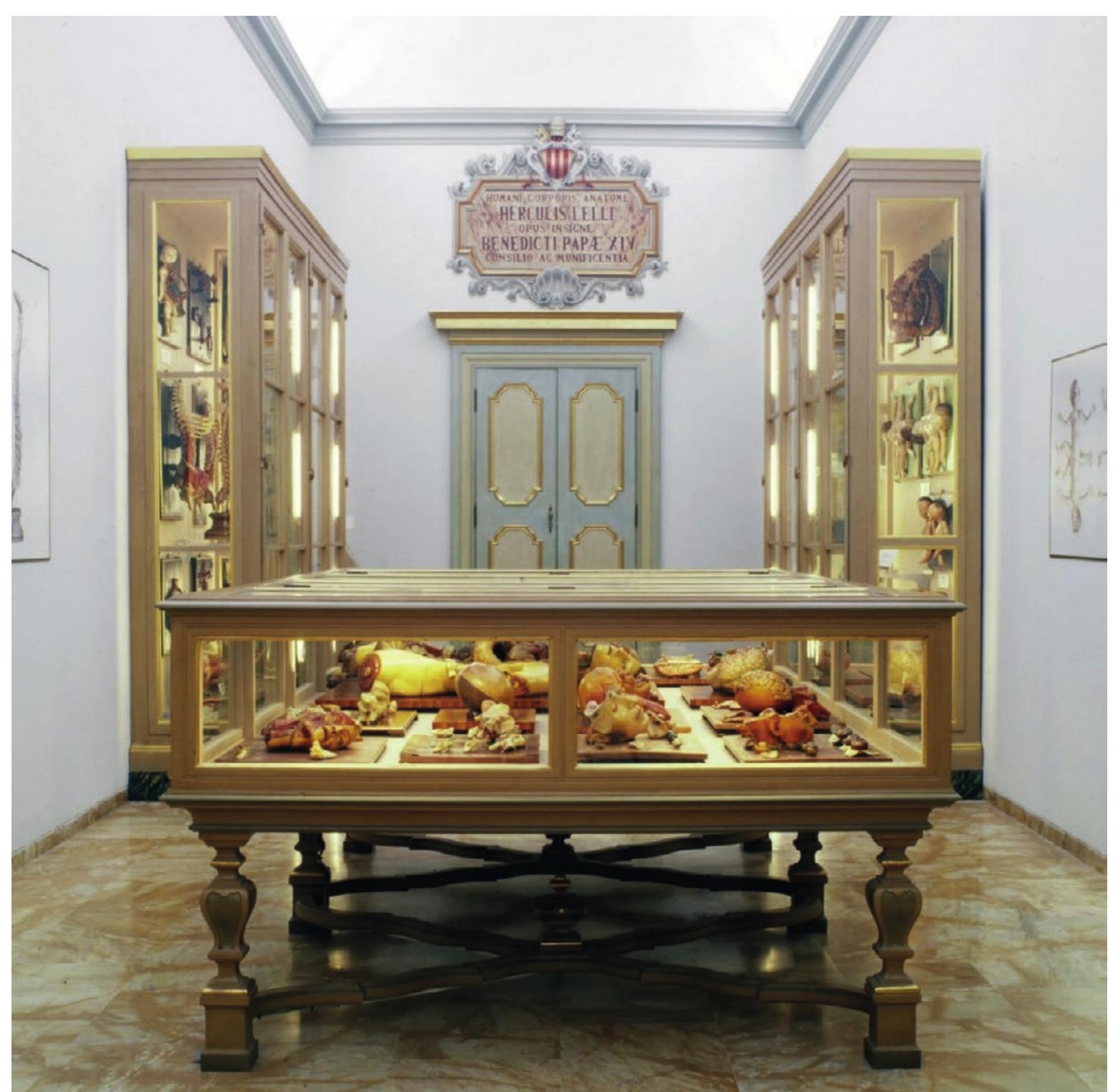 (PDF) Anatomy and Ceroplastic School in Bologna: a heritage with ...