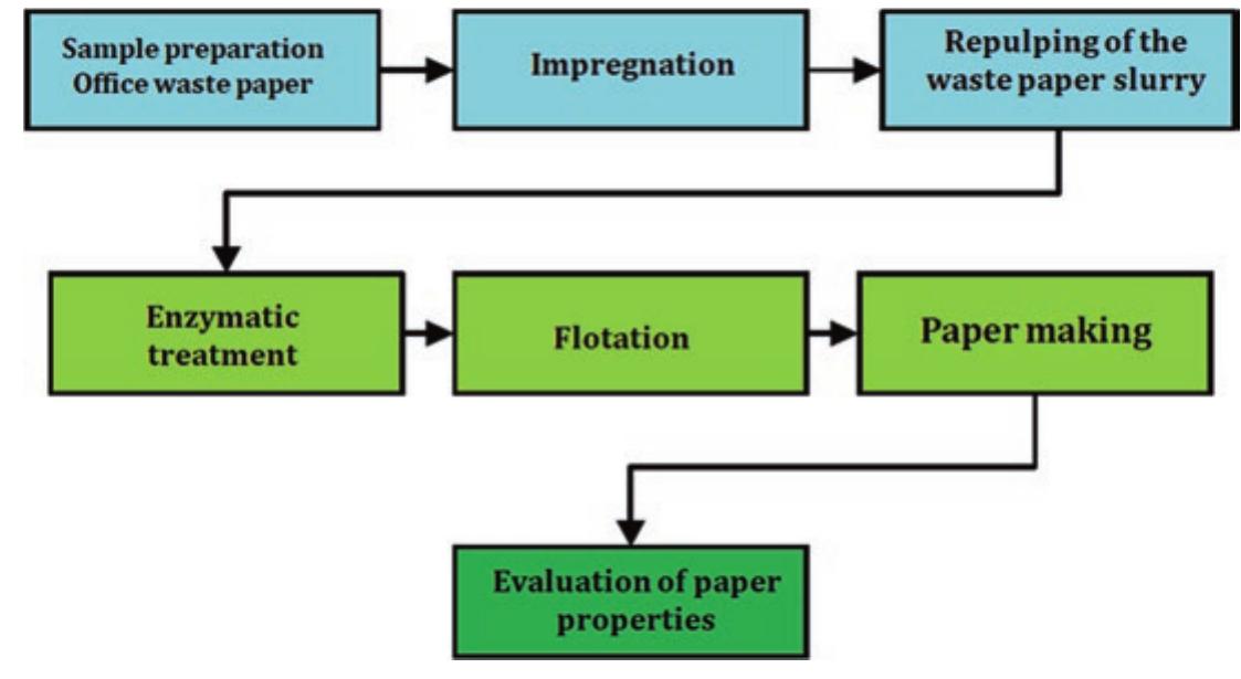 1 the stages of enzymatic deinking process globally, our