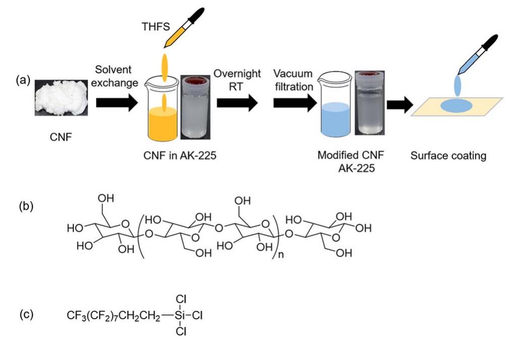 (a) schematic illustration of surface modification and