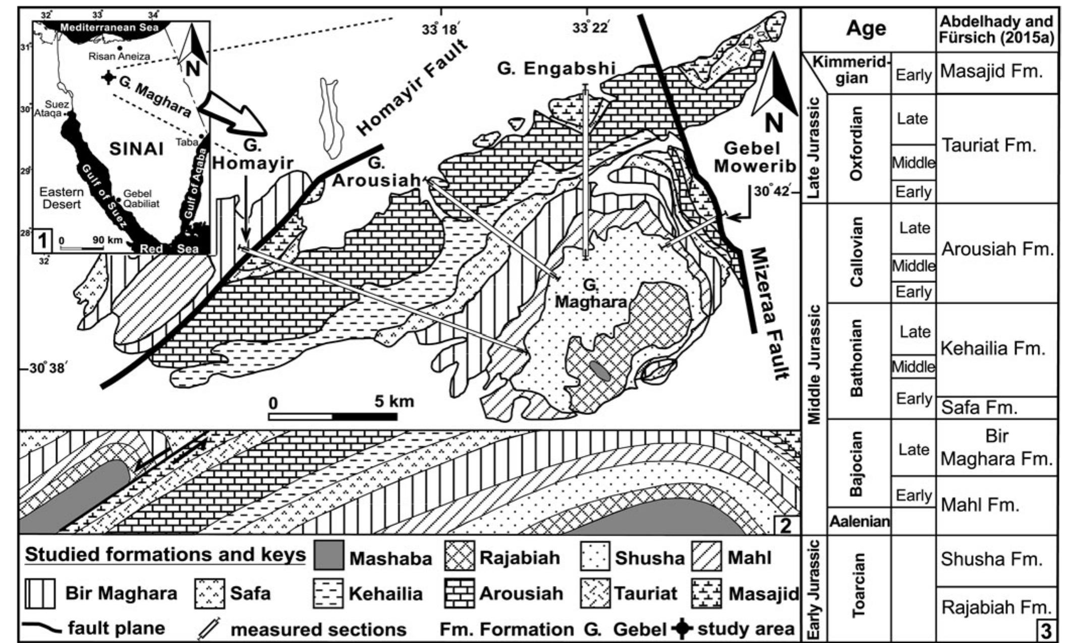 (1) locality map of gebel maghara; (2) cross-section and