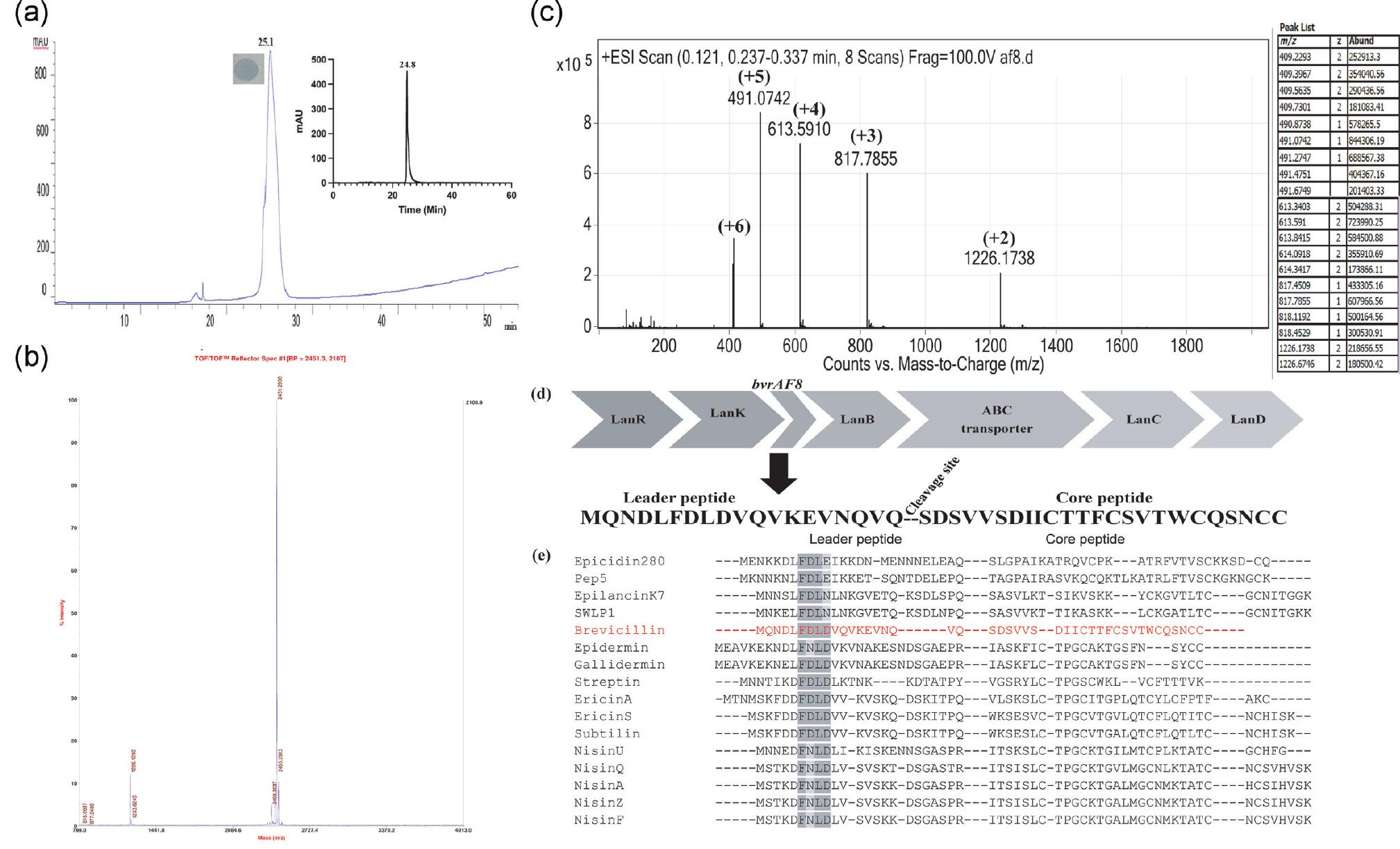 Purification and identification of lanthipeptide from