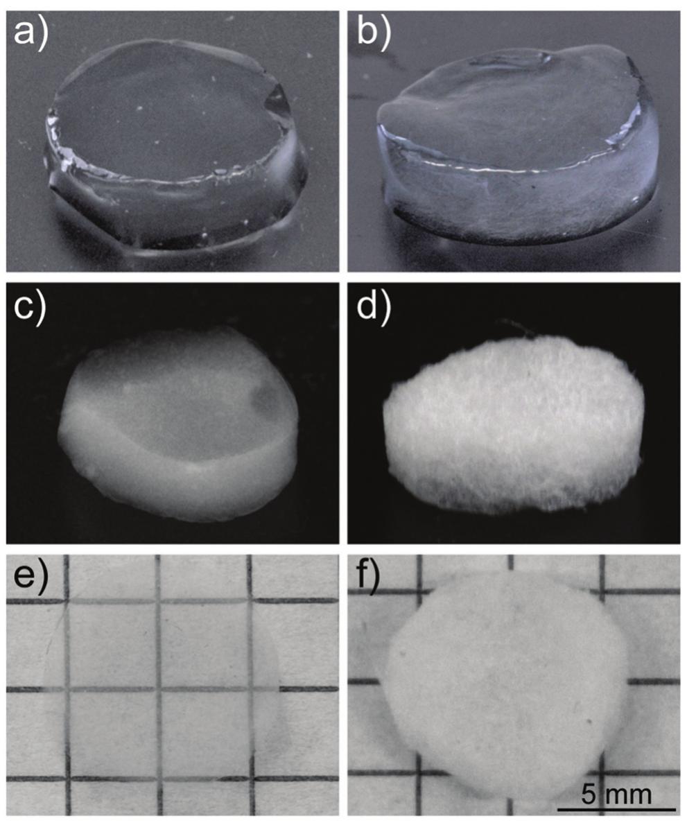 Macro-scale appearance of hydrogels and aerogels. left
