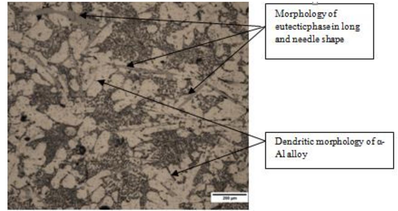 Gravity cast microstructure nucleation of a-al phase takes