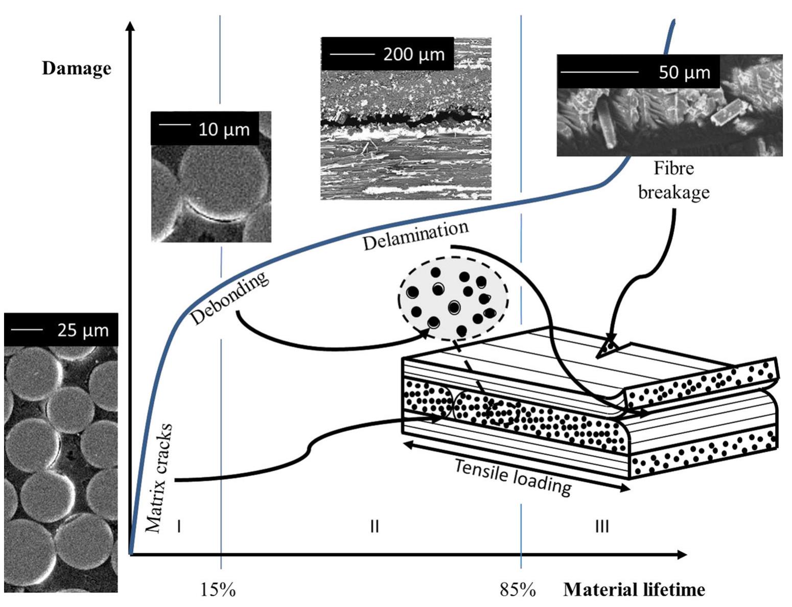Evolution of damage in composite laminates during fatigue