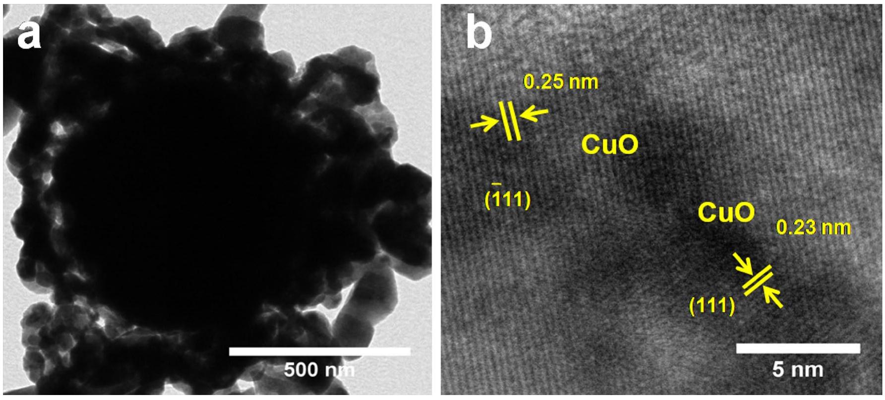 A tem image of the prepared cuo hierarchical 3d flower-like