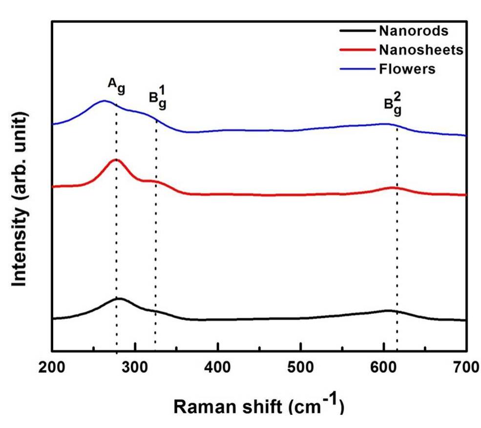 Raman spectra of the prepared cuo nanorods, nanosheets and