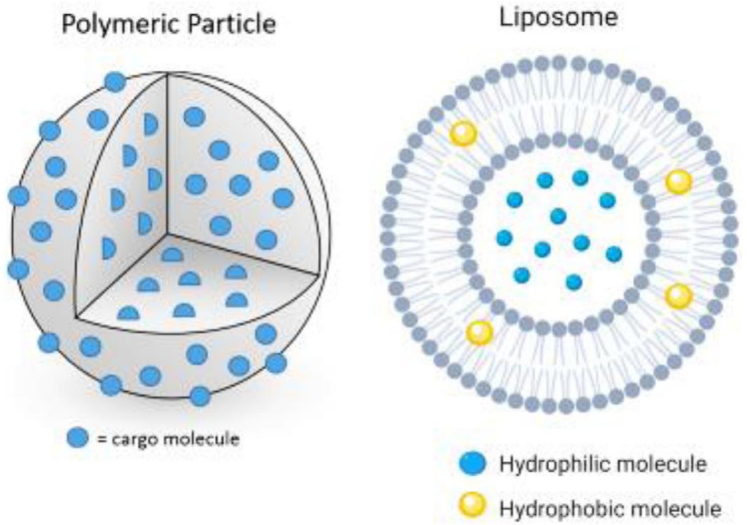 Schematic of common particle-based hdt delivery