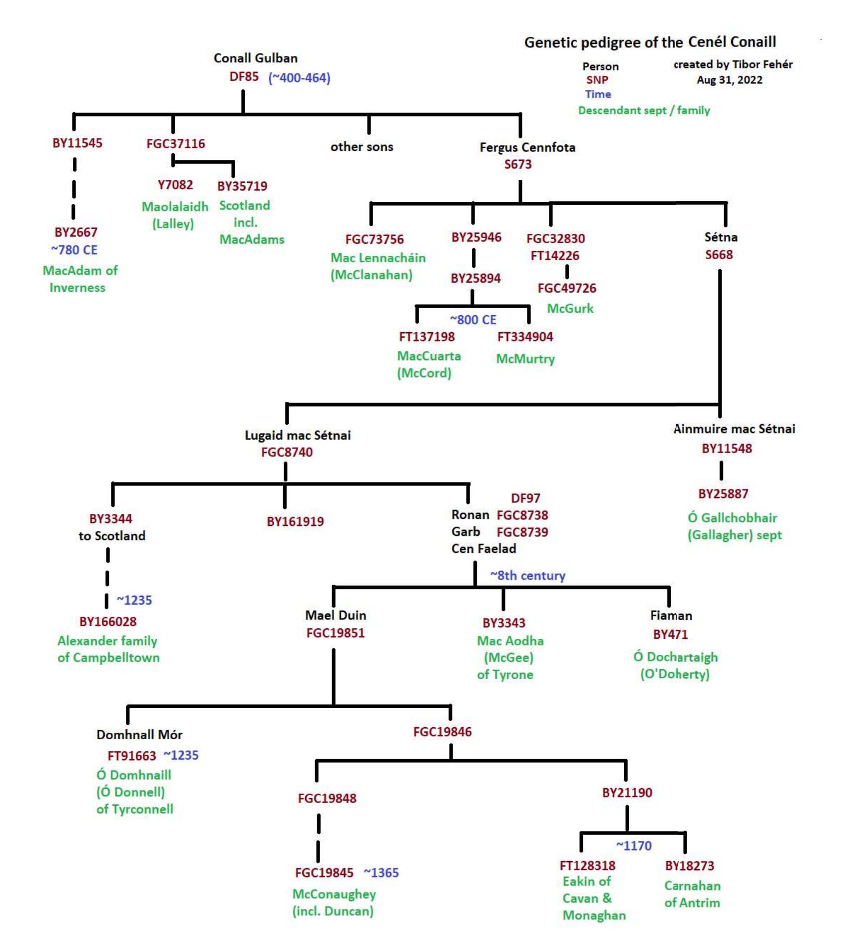 Family tree of the cenél conaill branch of the connachta.
