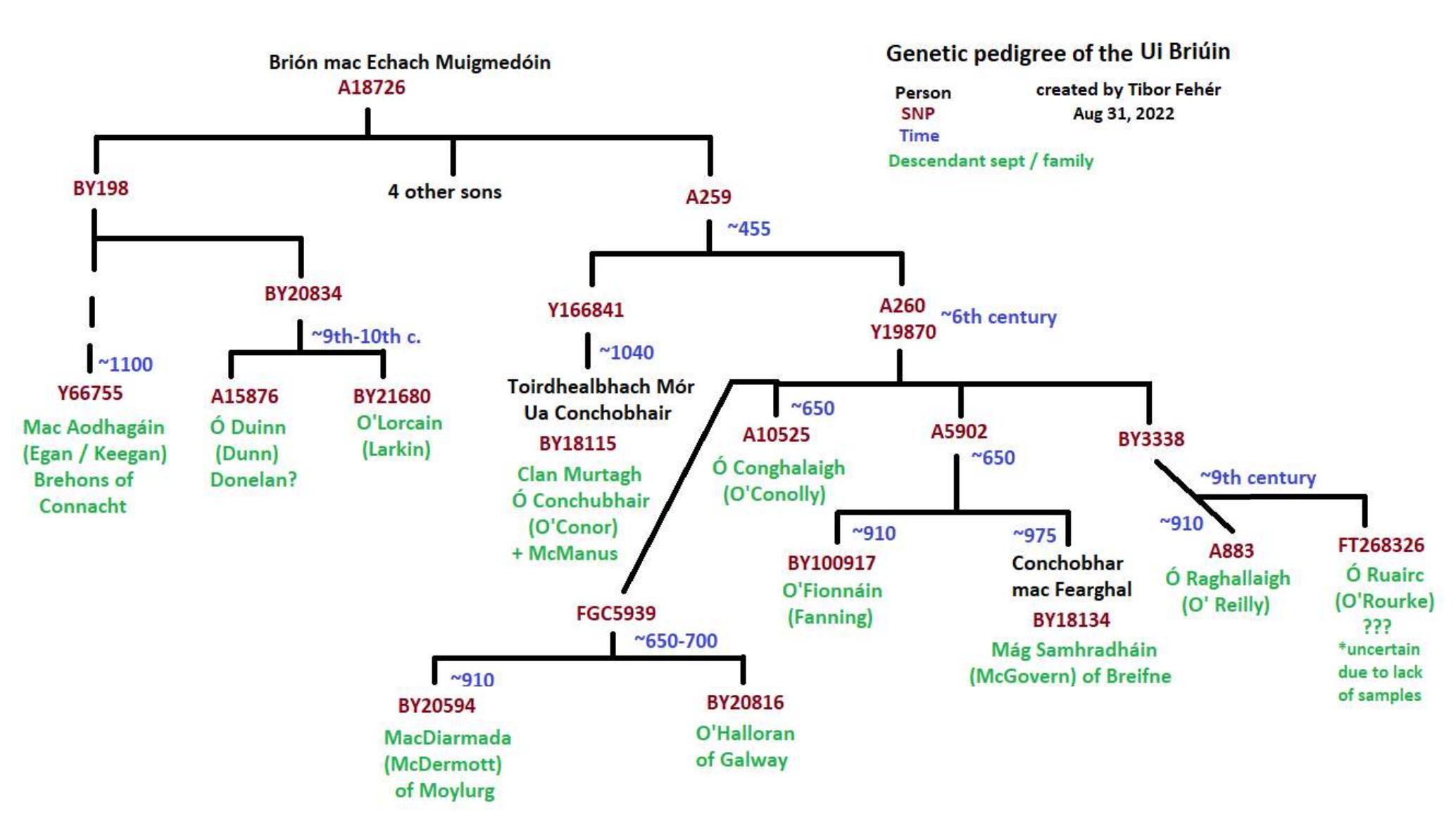 Family tree of the ui briuin branch of the connachta. fig.