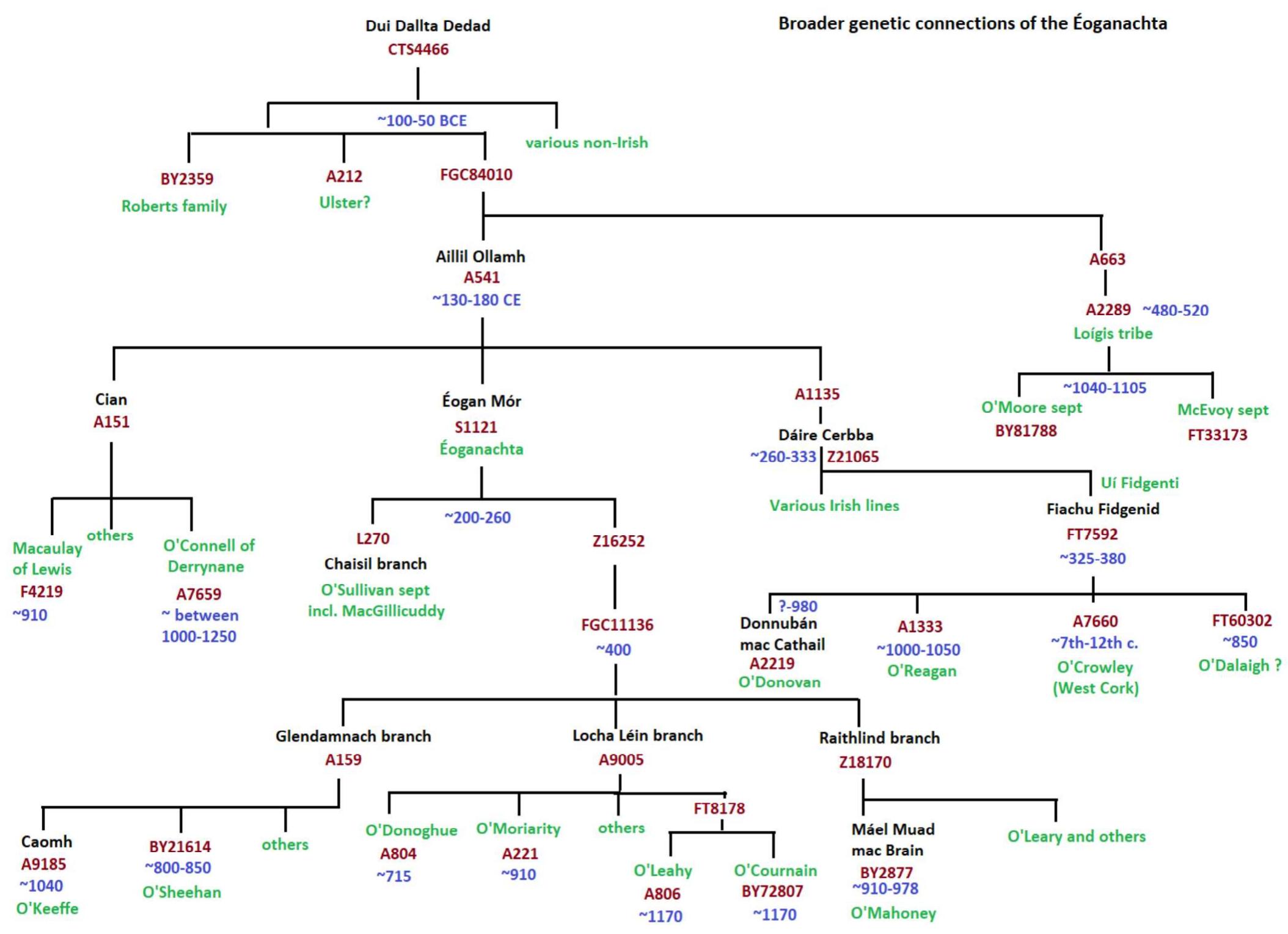 (PDF) High Resolution Paternal Genetic History of Ireland and its ...