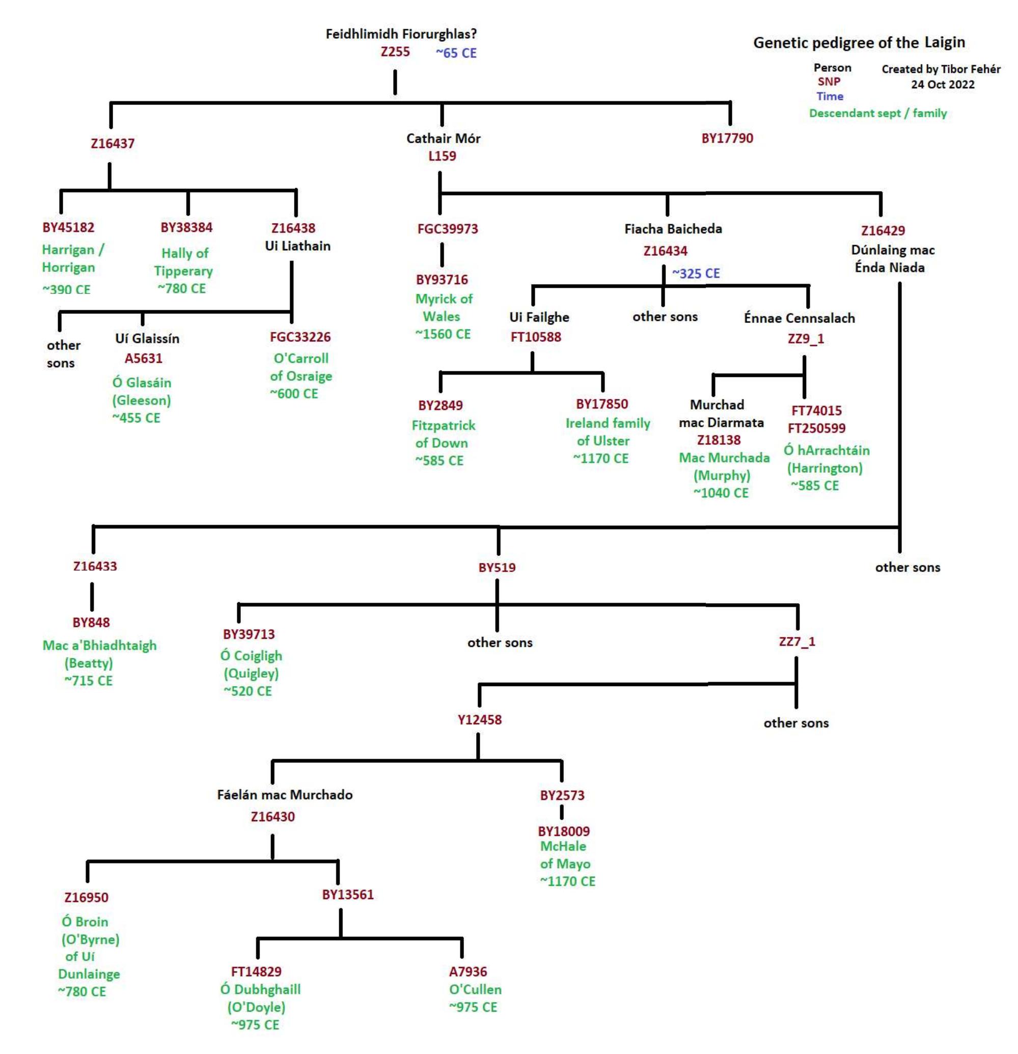 (PDF) High Resolution Paternal Genetic History of Ireland and its ...