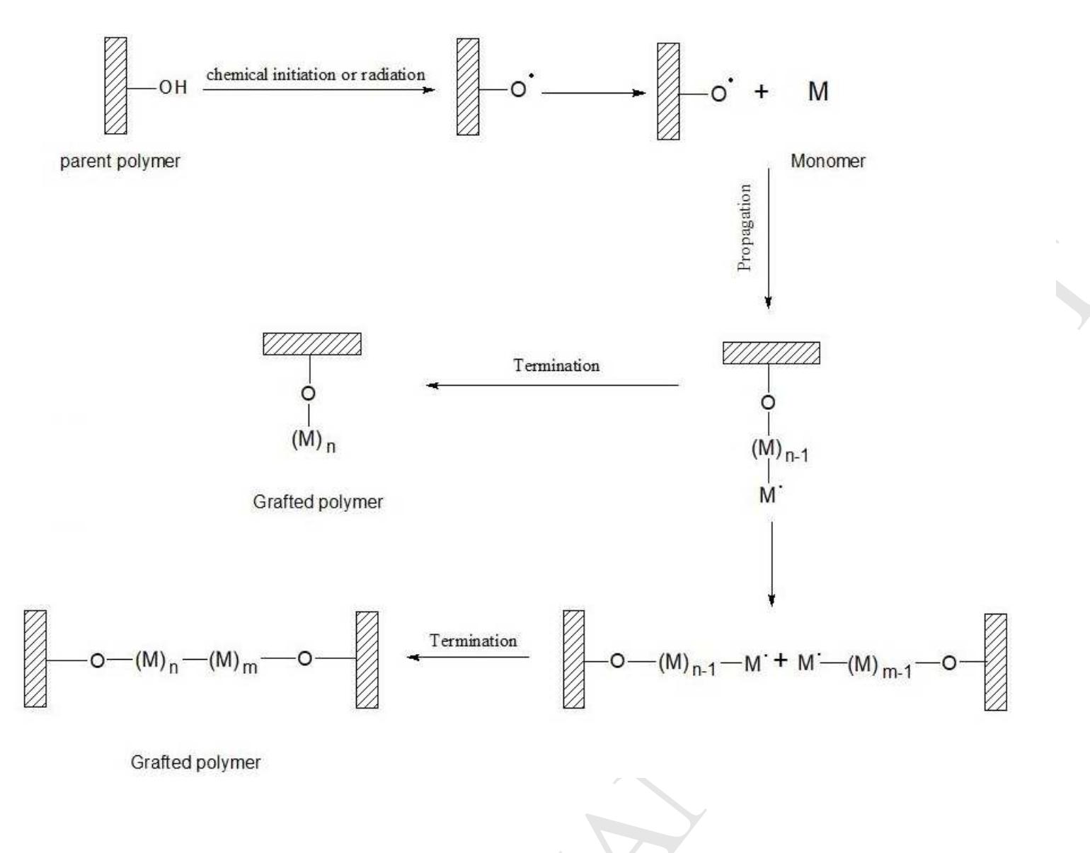 Cheme 1: general mechanism of monomer grafting on polymer