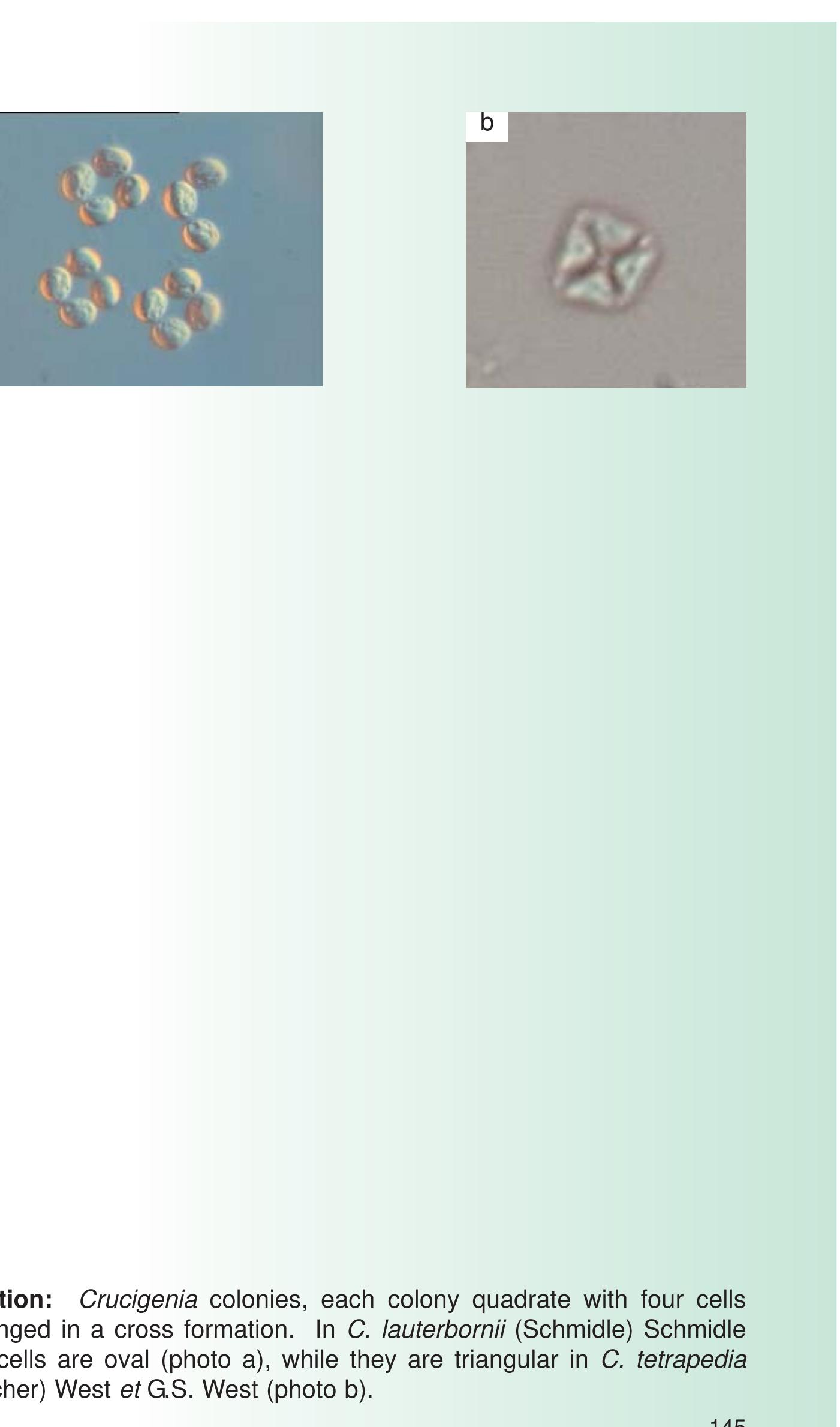 Figure 125 - Easy identification Easy identification of the