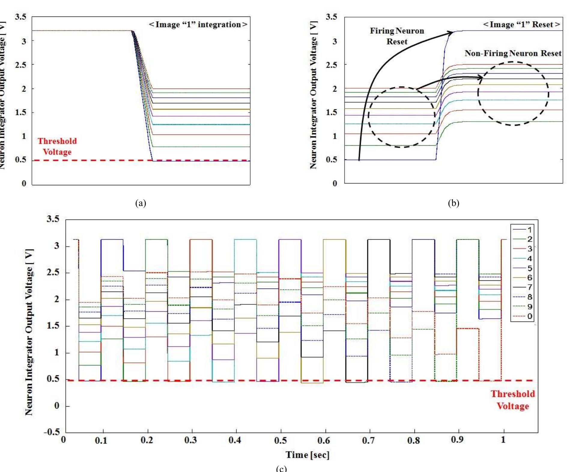 Figure 10 - Neuromorphic Hardware System for Visual Pattern