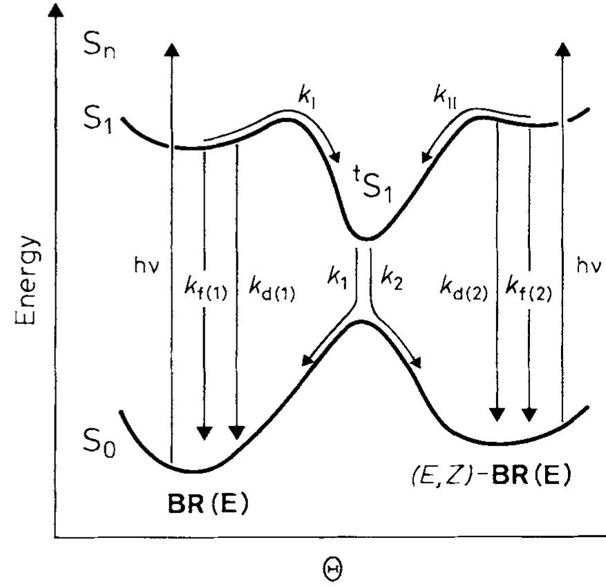 Diagram of potential energy levels and deactivation pathways