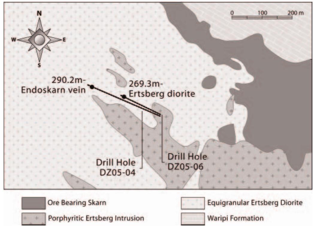 Fic. 6. plan of part of the ertsberg intrusion and the