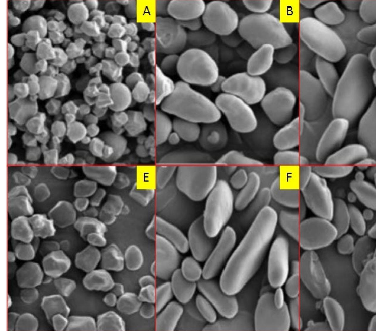 (PDF) Taro starch: Isolation, morphology, modification and novel applications concern - A review