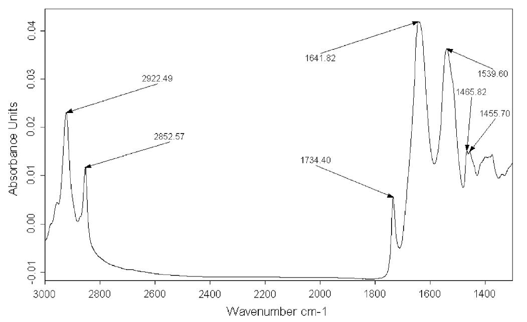 Representative atr-ftir spectrum of porcine ear skin