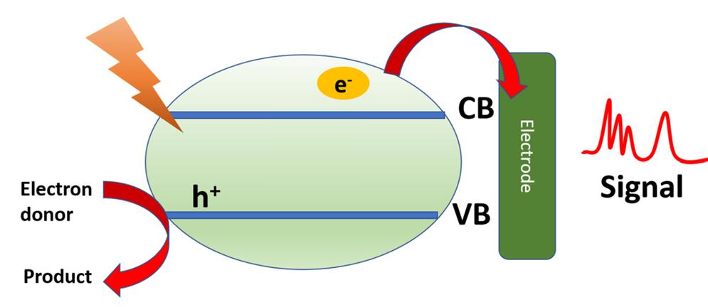 Schematic sketch of tio2-based pec biosensors.