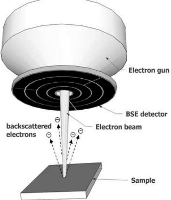 Conceptual drawing of a sem system showing the location of