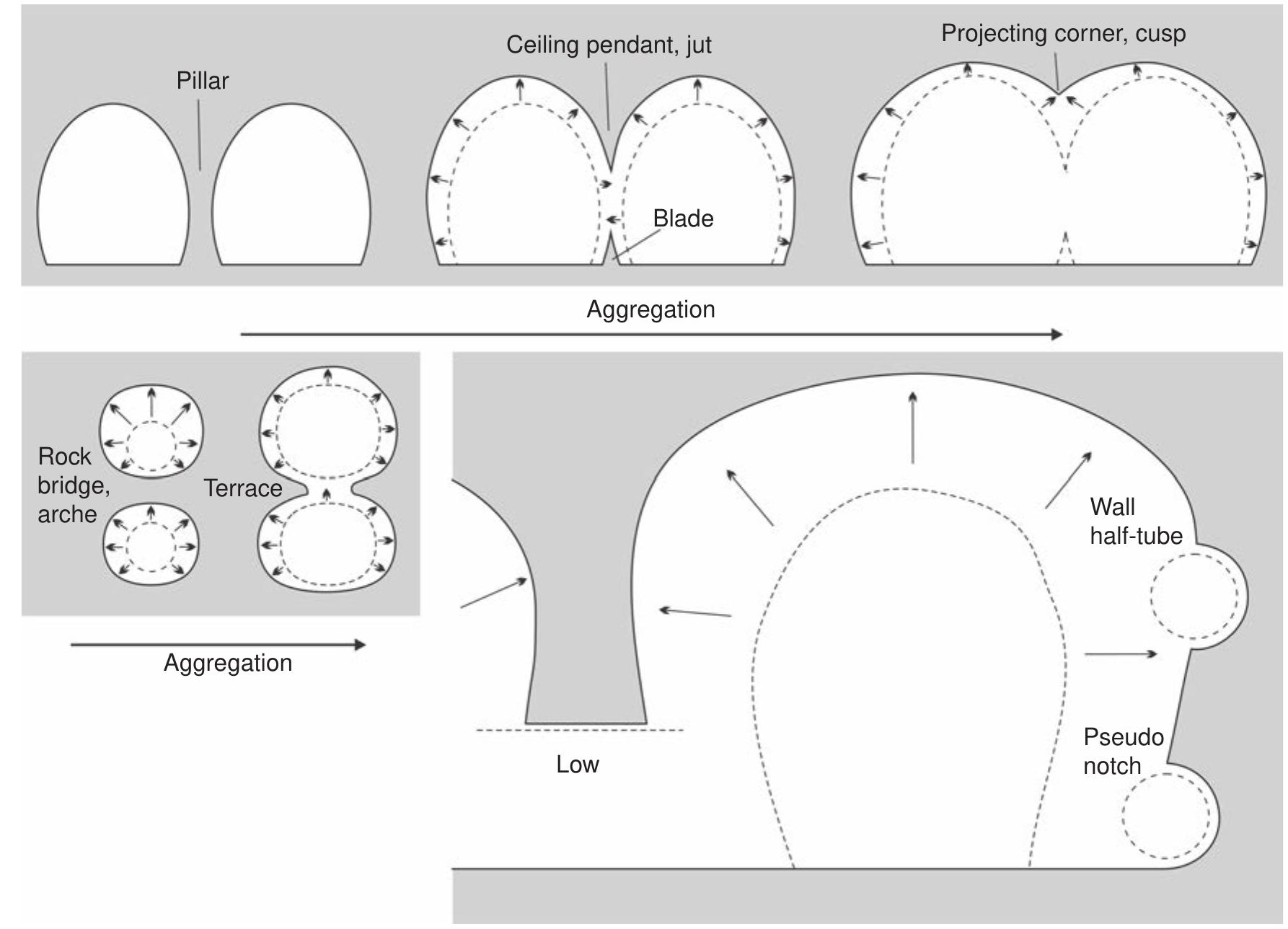 Schematic representation of evolution of partitions in