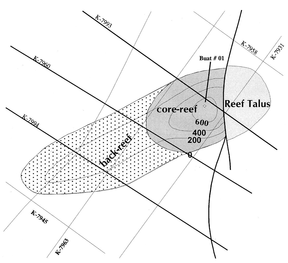 Figure 4 - from Reservoir potential of carbonate rocks in