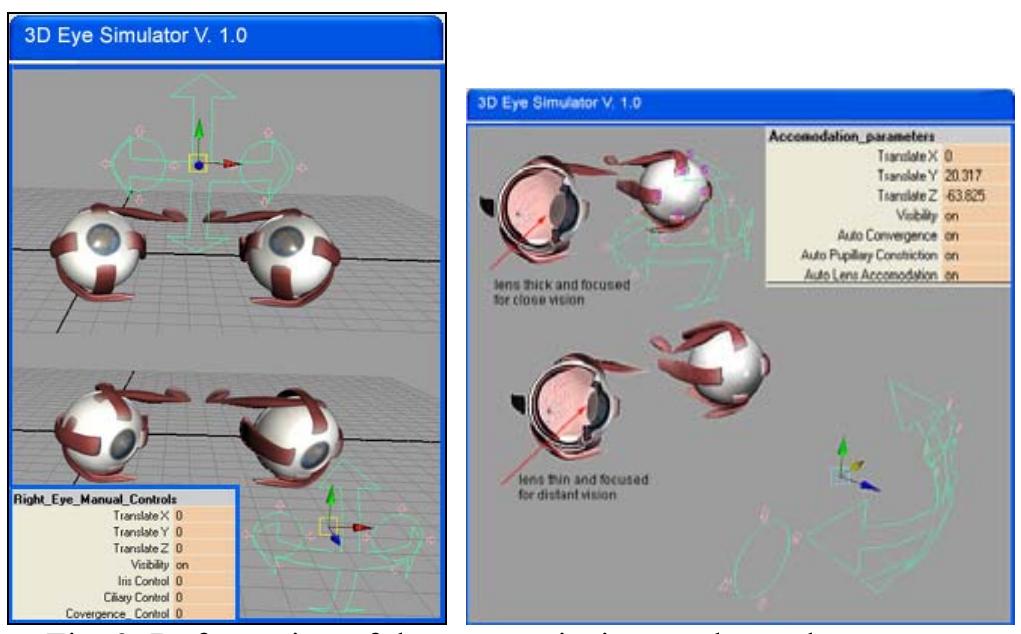 Deformation of the eye extrinsic muscles and consequent