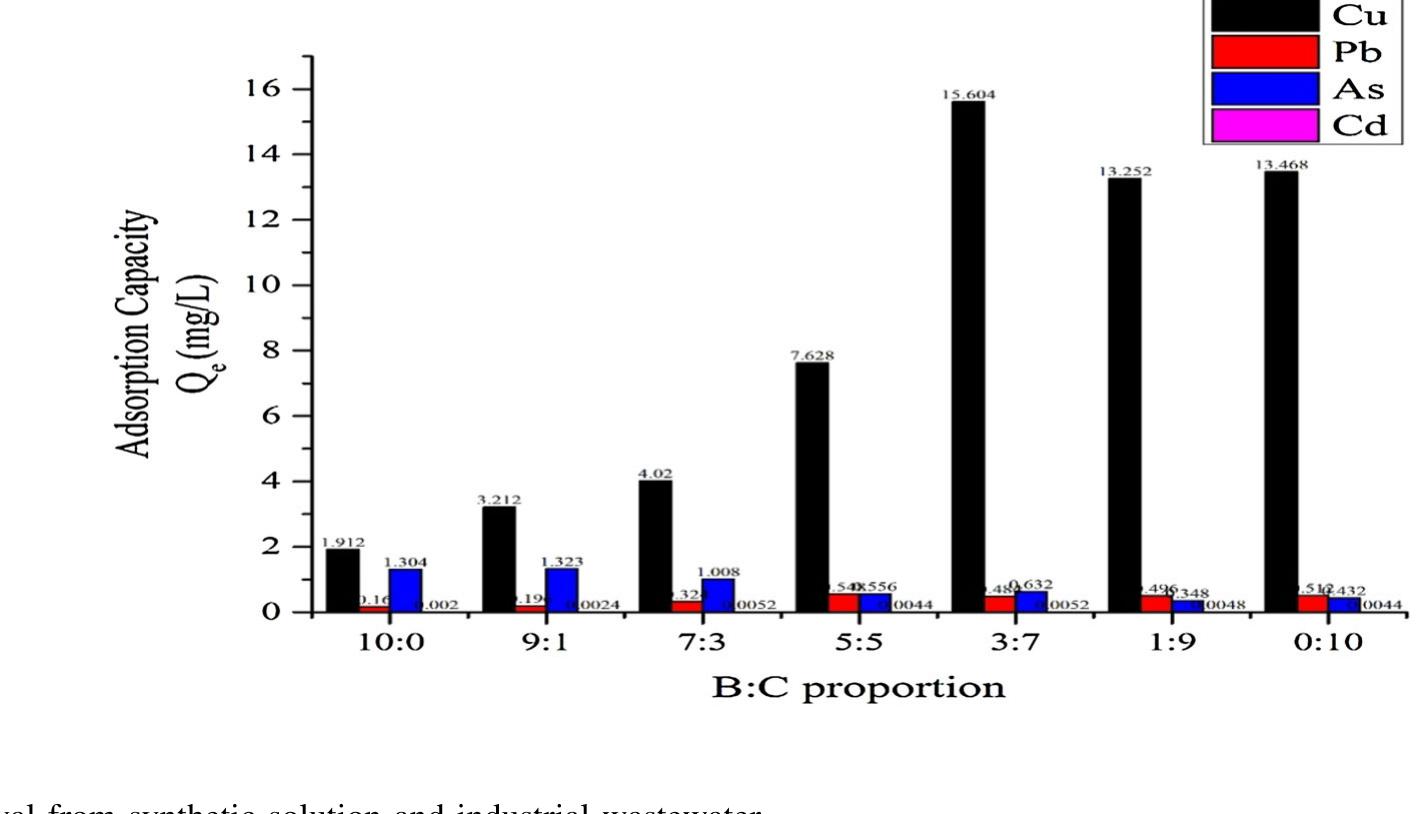 Figure 4 - Development of biochar and chitosan blend for
