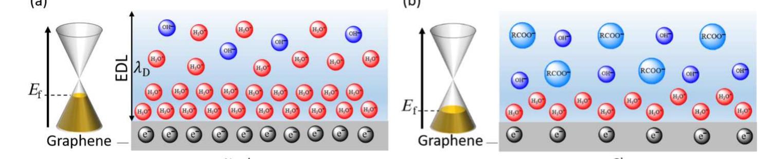 Proposed mechanism for p-type induced doping because of