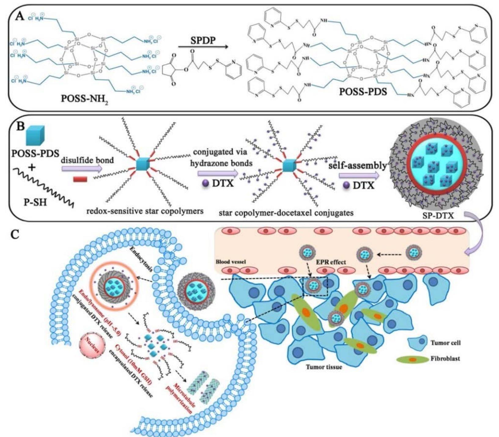 Schematic illustration of (a) the synthesis procedure of