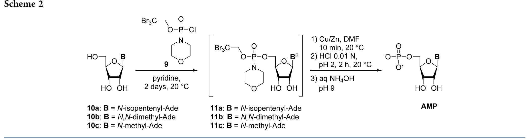 By hydrolysis (scheme 1).'** yields ranged from 88% to 98%.