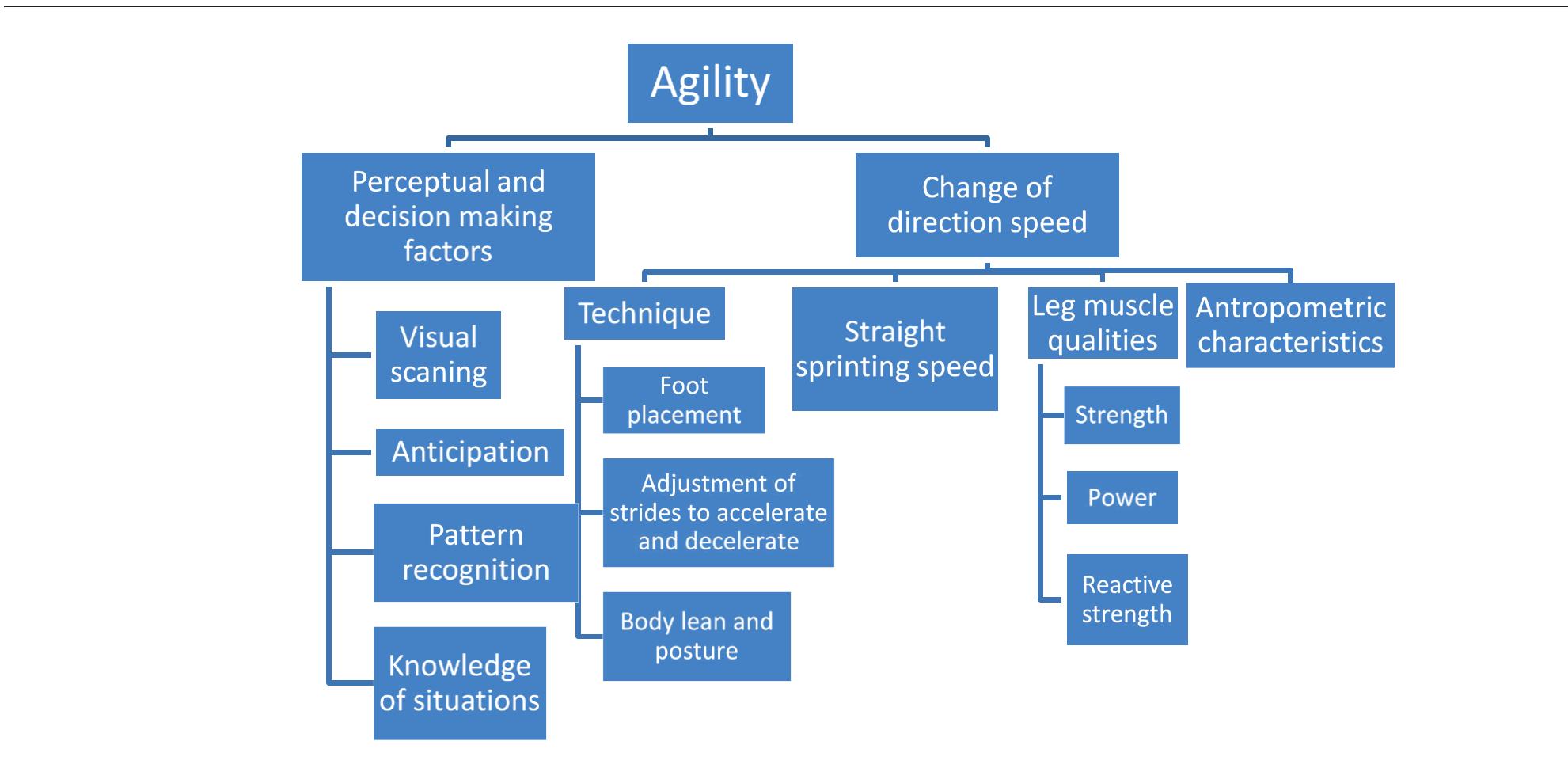 - components of agility [8, 9, 10] externally, movements
