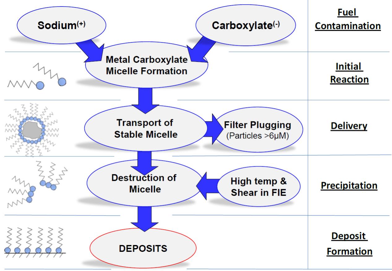 Schematic diagram showing likely mechanism of metal