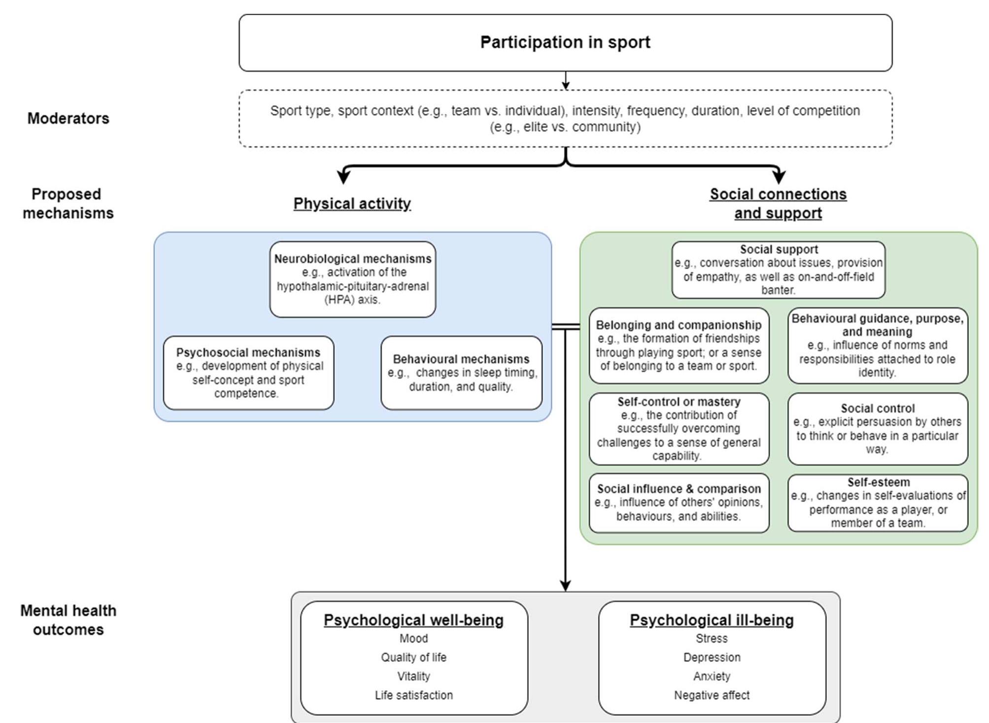 (PDF) The impact of sports participation on mental health and social ...