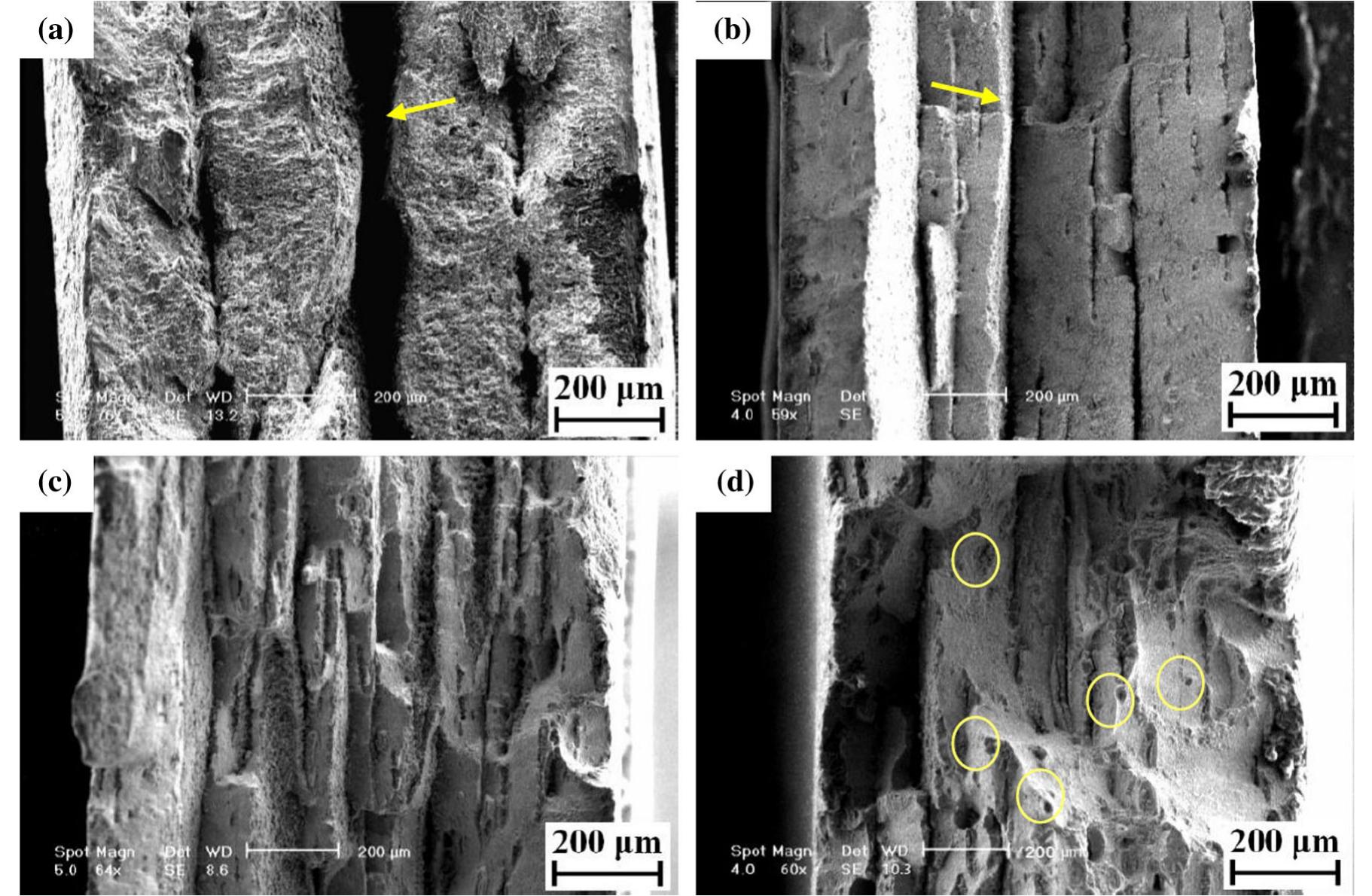 Low-magnification sem micrograph of the fracture surface for