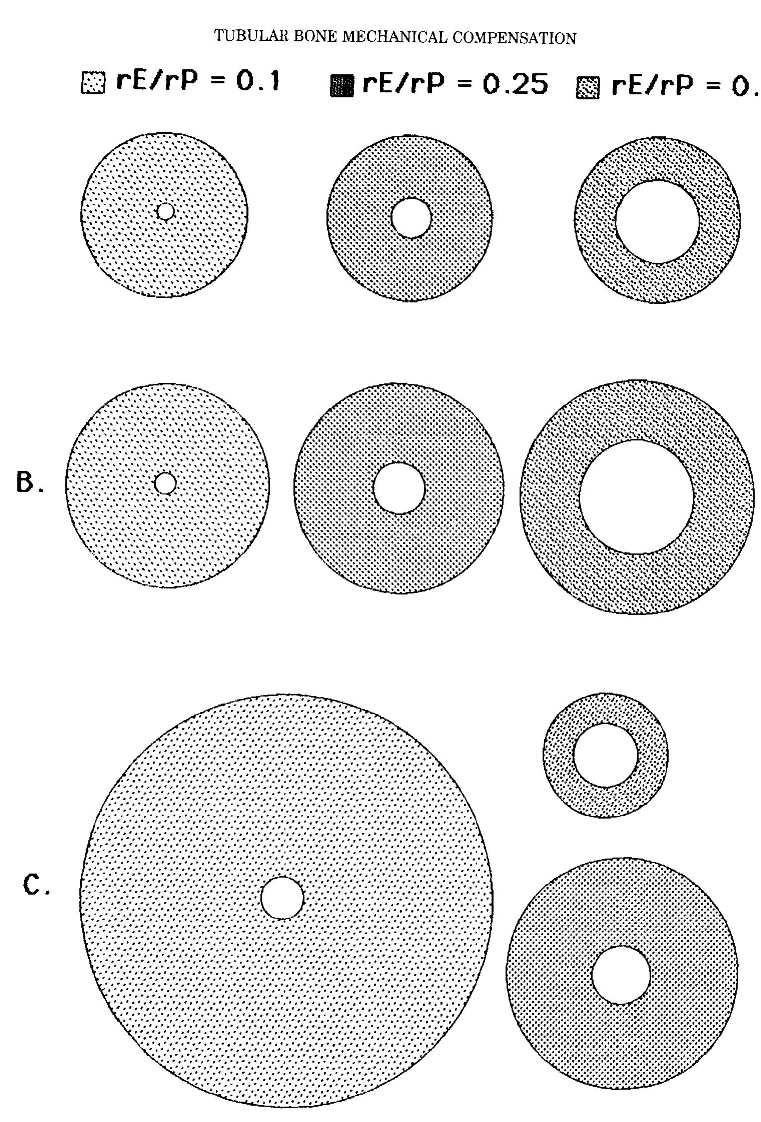 Schematic depiction of the nine right-circular section