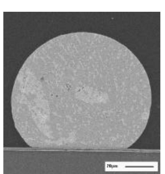 Cross-section solder bump (x700) (sematech copner test