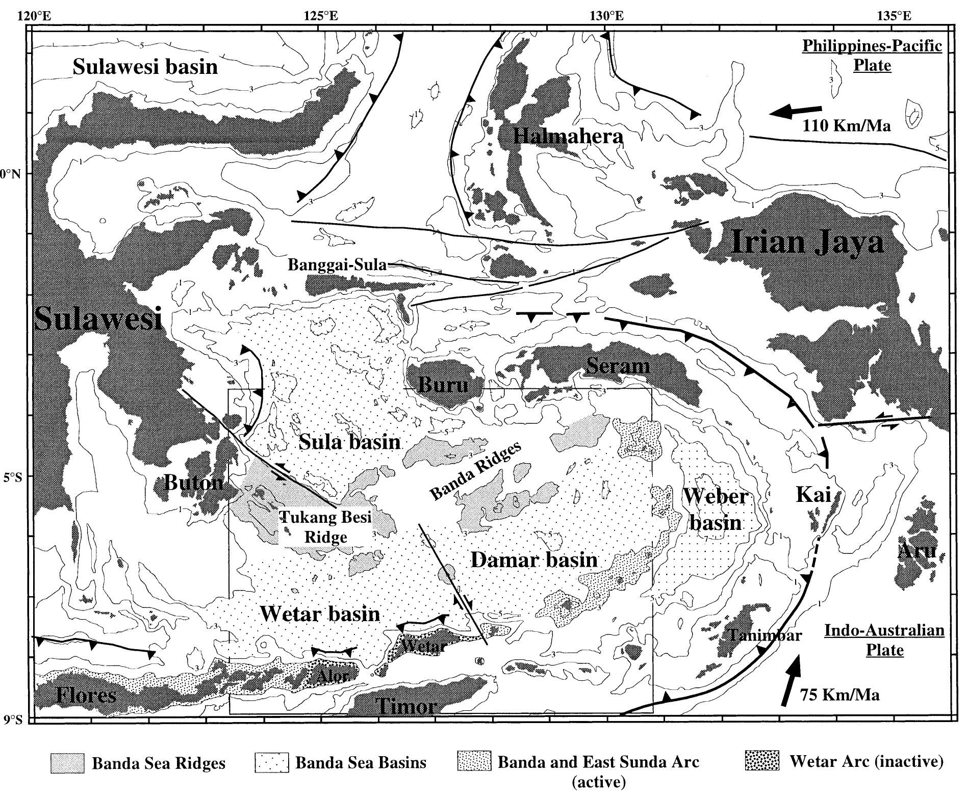 Simplified tectonic map of east indonesia. subduction