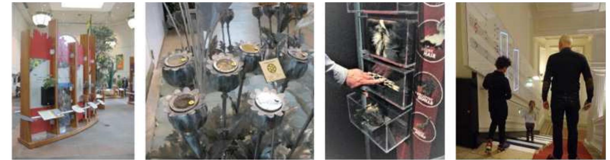 Ne | —from left to right: three examples of exhibits that