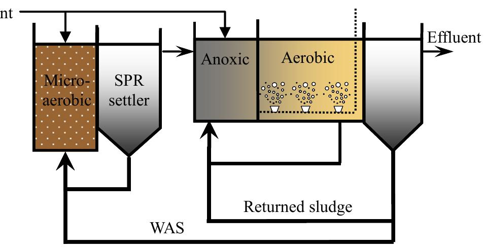 Schematic diagram of the step-feed spras sir process.