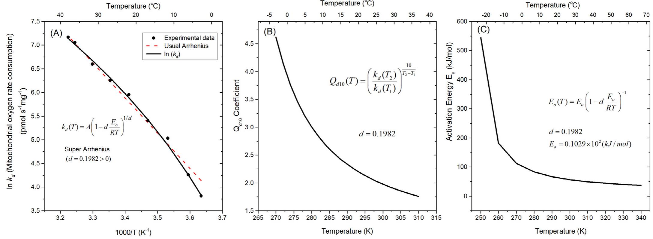 Deformed arrhenius plot for rate of oxygen consumption of