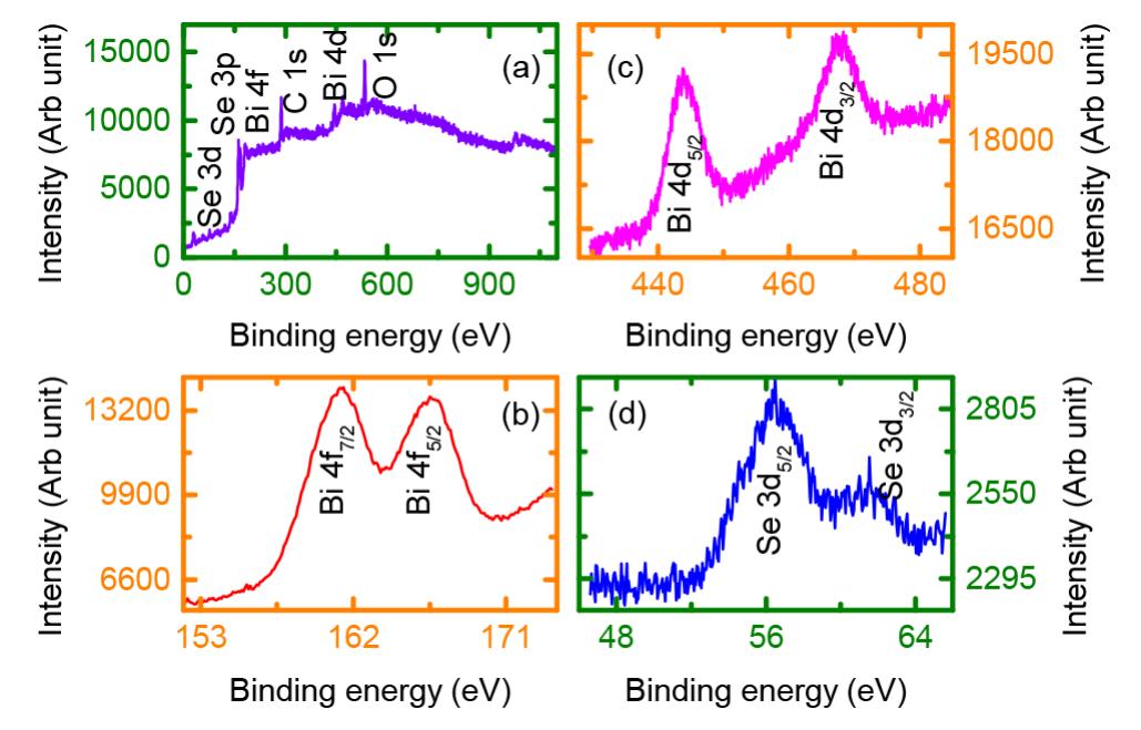 (a) wide-scan and core-level xps spectra of (b) bi 4, (c) bi