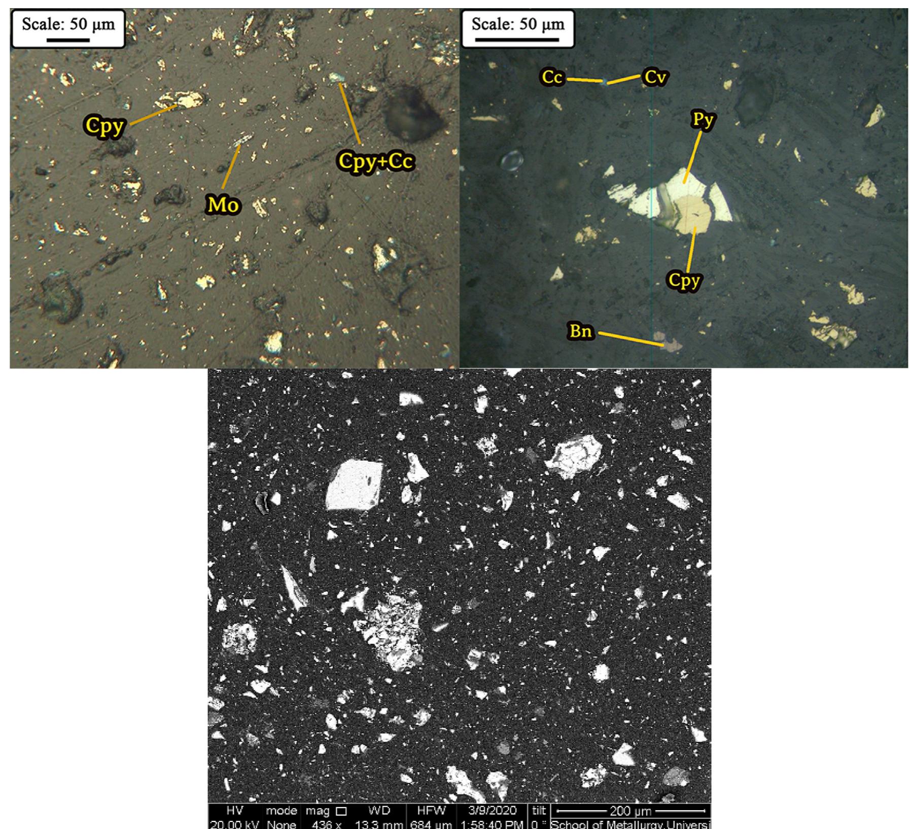 Distribution of minerals (left and bottom) and interlocking
