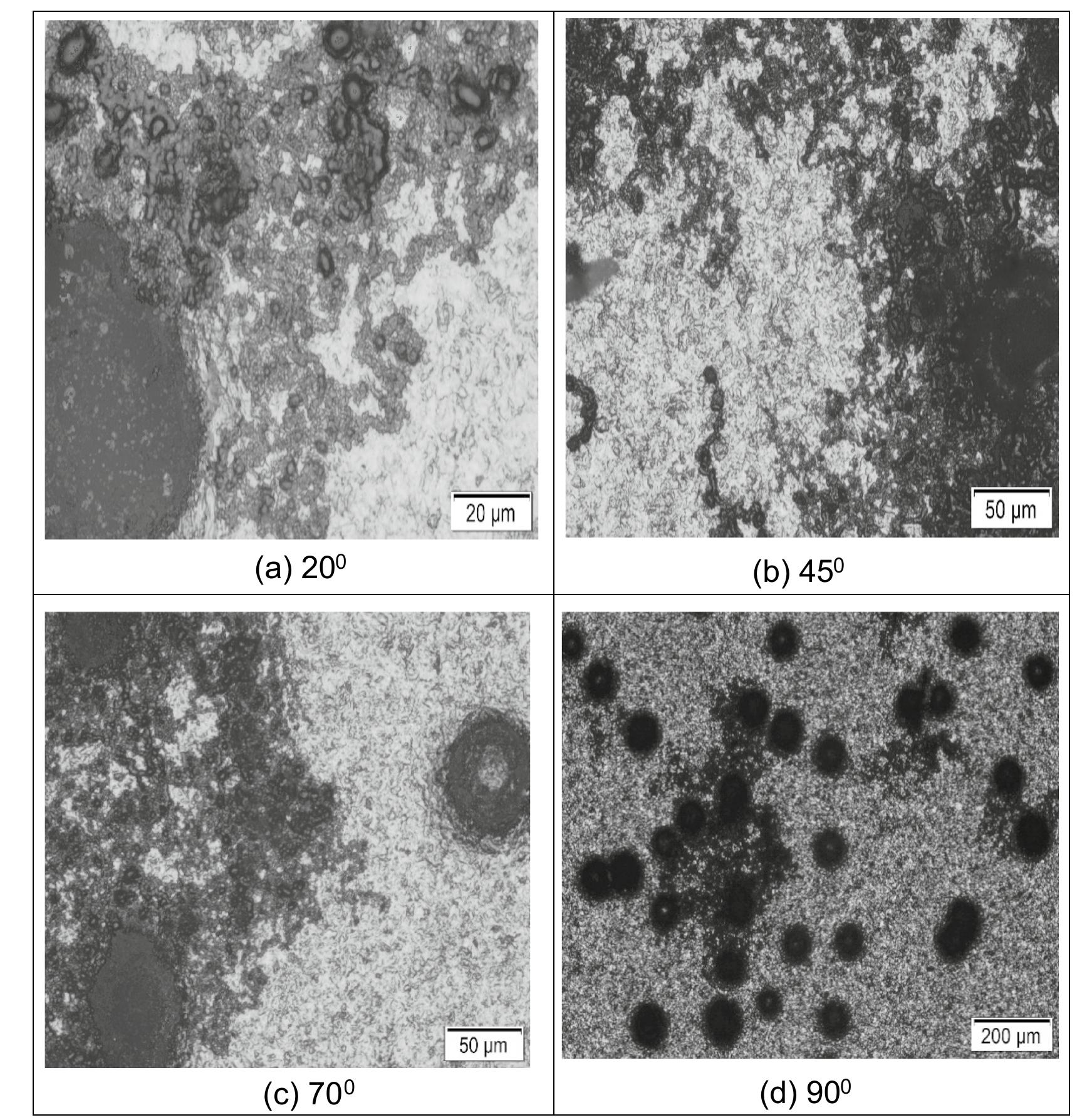 The microstructure of the specimen using well water at