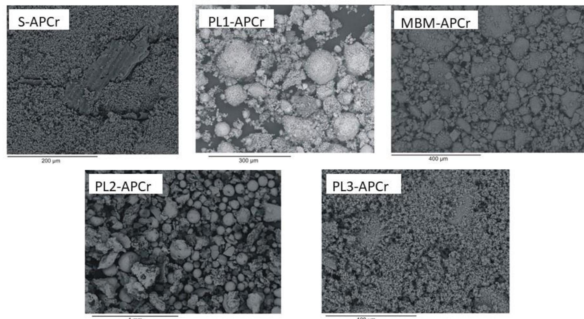 Scanning electron microscope images of the biomass apc