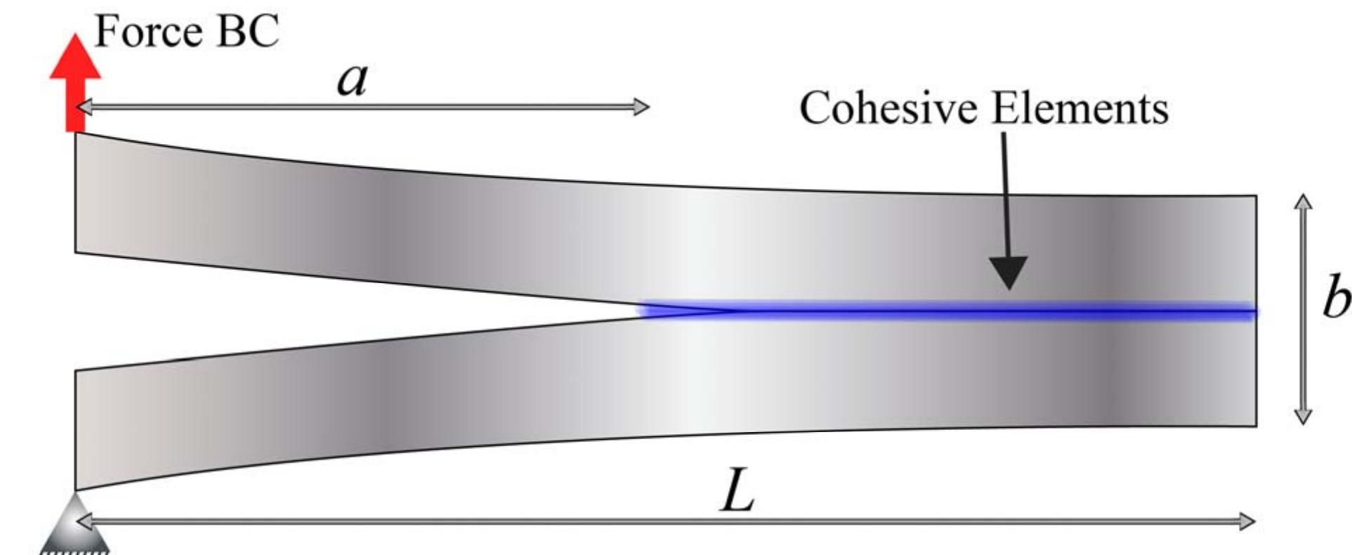The dcb model, showing the locations for boundary conditions