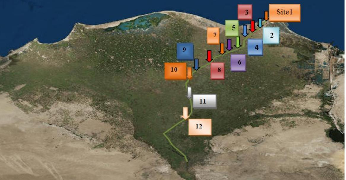 Geographic map of the nile delta showing the study area