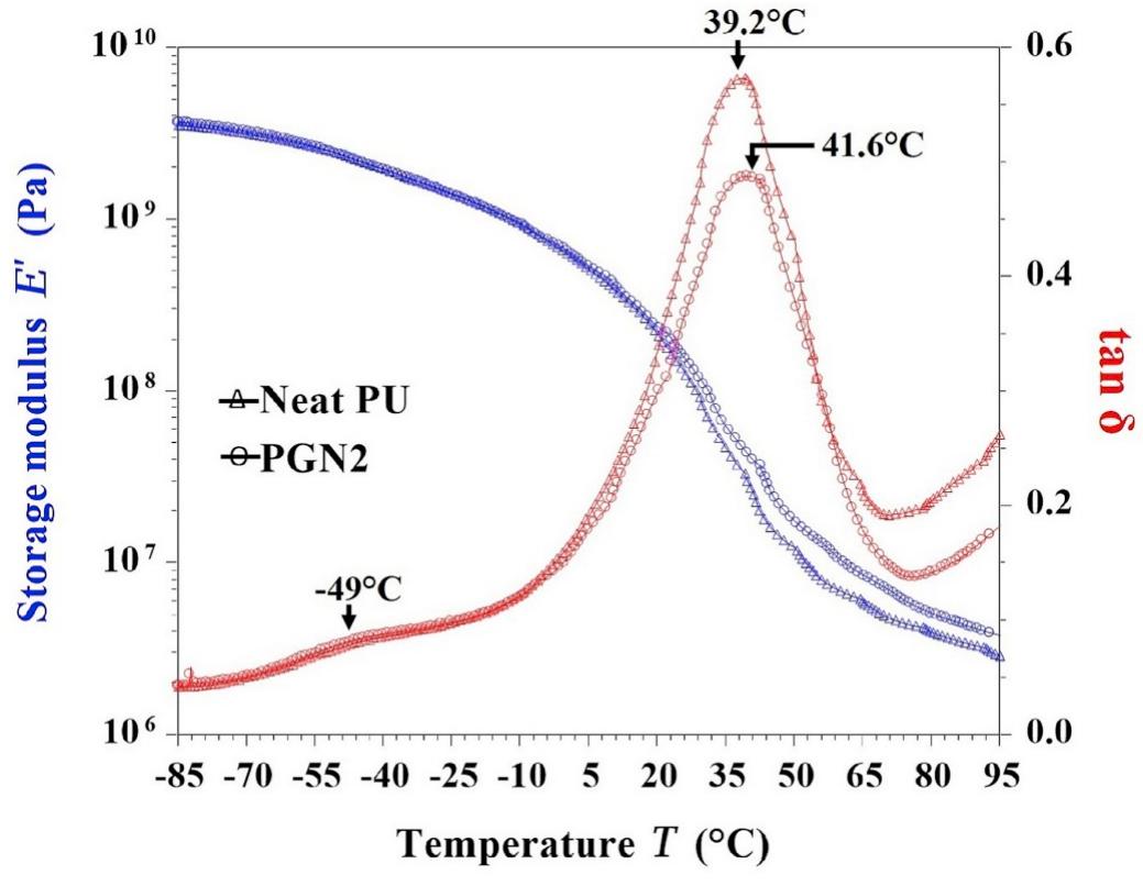 Storage modulus and tané as a function of temperature for