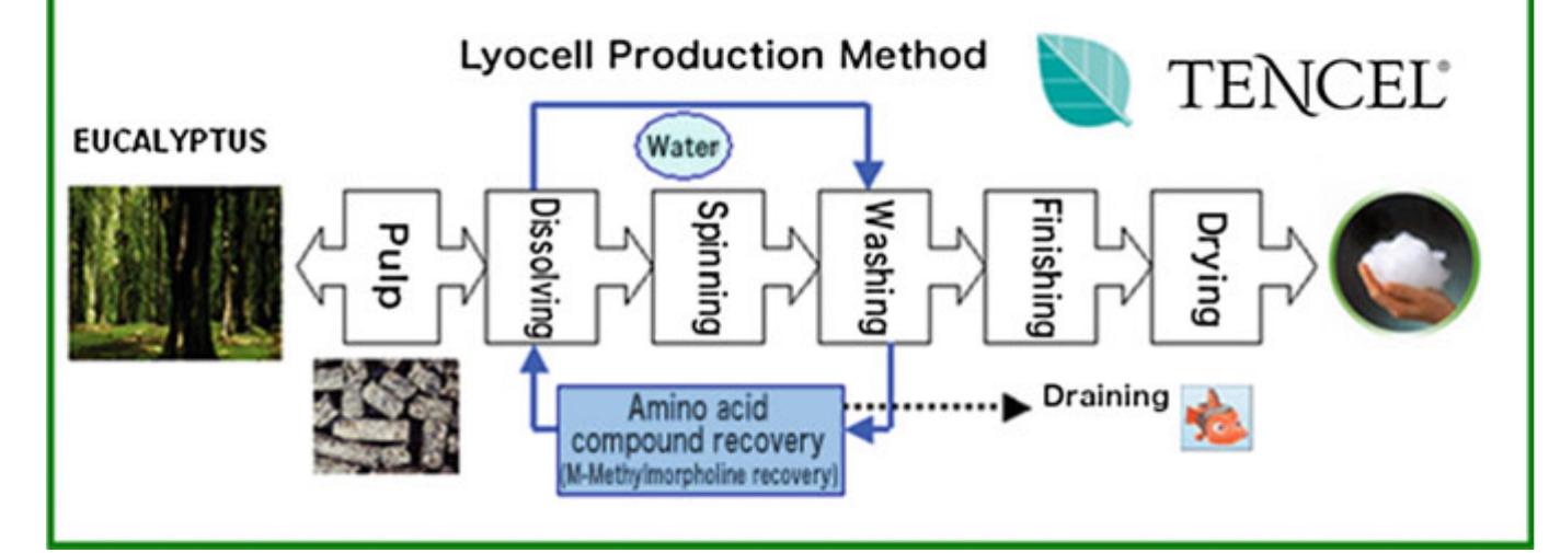 Figure 12 - from Regenerated Cellulosic Fibers and Their