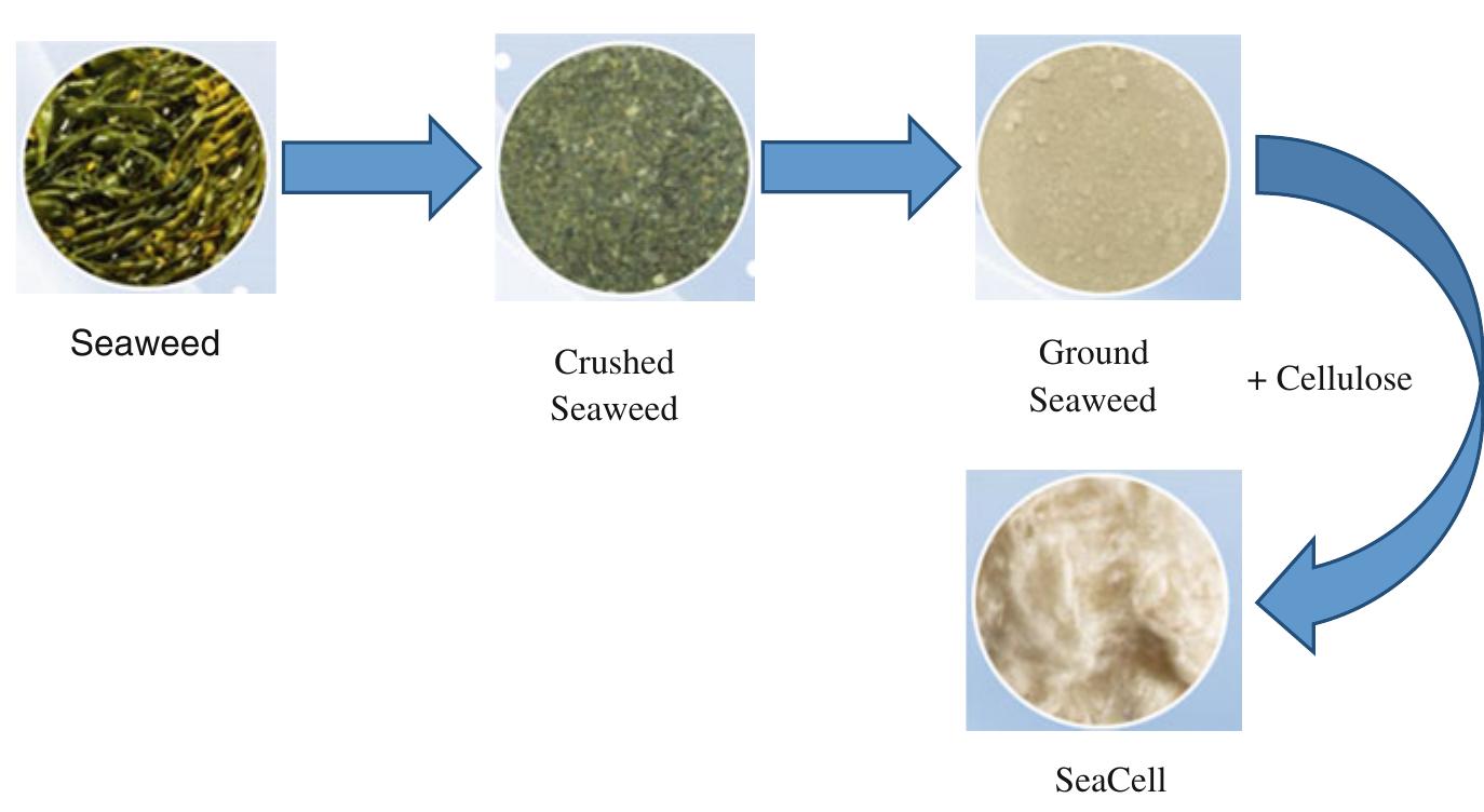Flowchart of seaweed extraction process for seacell fiber